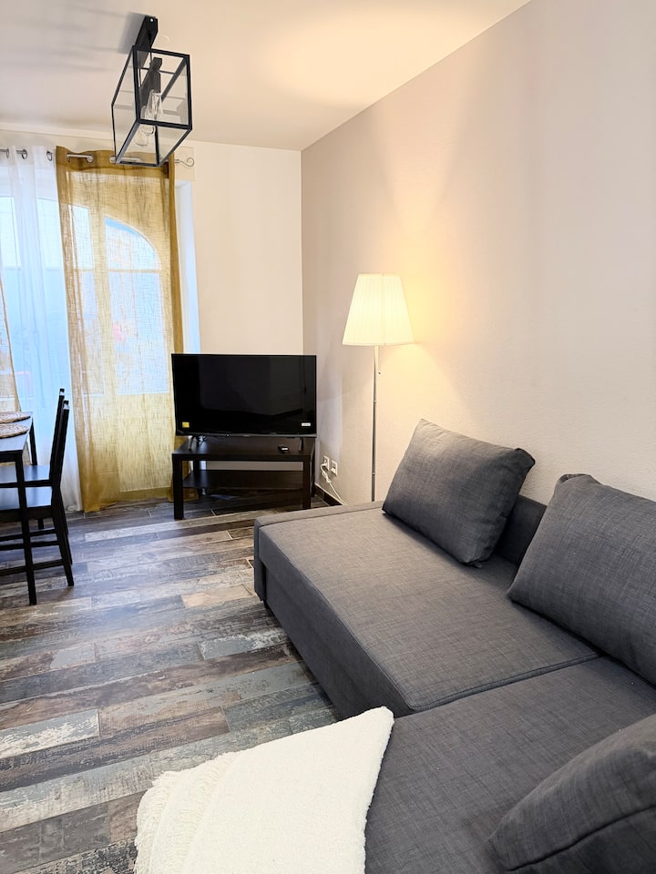 Appartement Charmant Est Lumineux-carouge - Genf