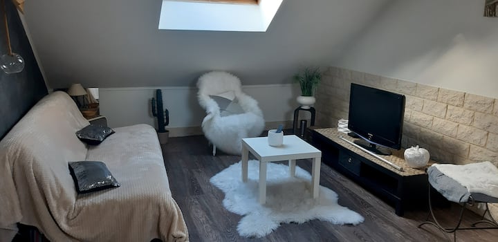 Appartement Cosy - Saint-Cyr-sur-Loire