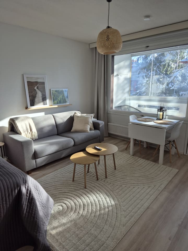 Viihtyisä Yksiö Hervannassa, Ilmainen Pysäköinti - Tampere