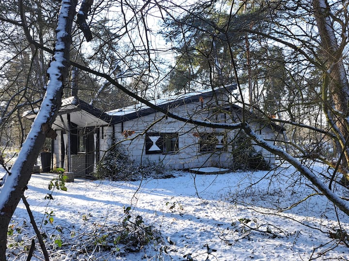 Vrijstaande Vakantiewoning In De Natuur - Haaksbergen