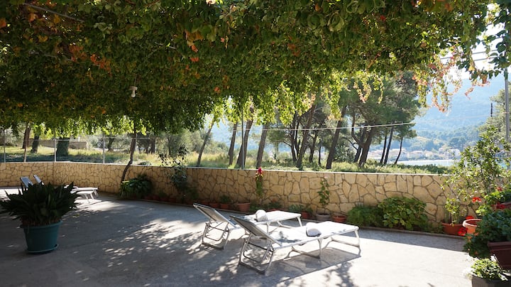 Pinewood Apartment 2 With Sea View - Pomena