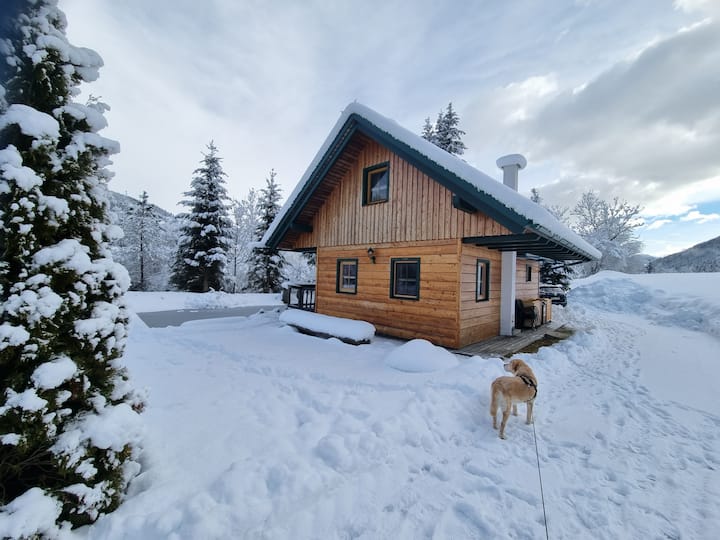 Chalet Am Teich Gänser - Murau