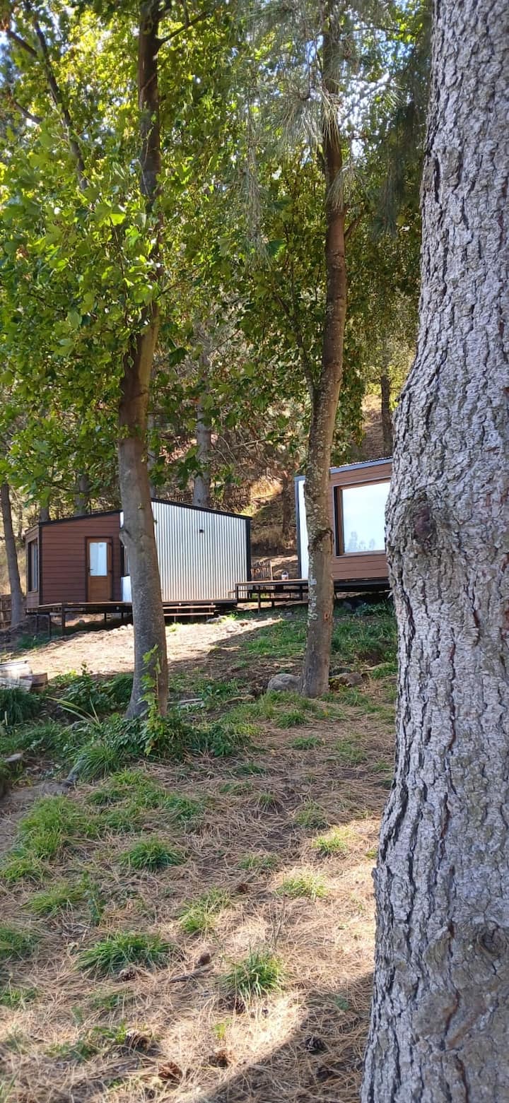 La Orejana Del Bosque - San Martín de Los Andes