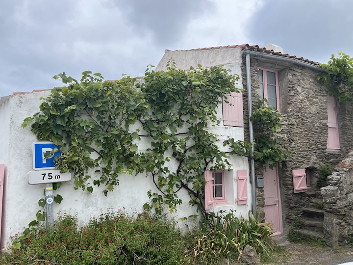 Maison Les Volets Roses à Saint Sauveur - L'Île-d'Yeu