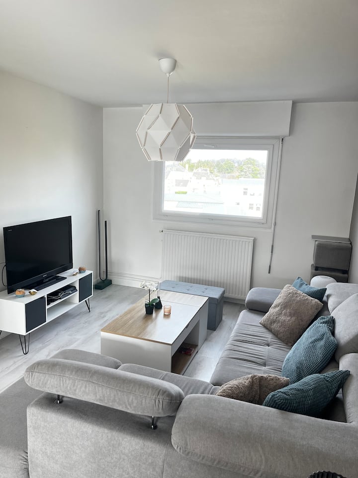 Appartement Lumineux Et Idéalement Situé. - Loiret