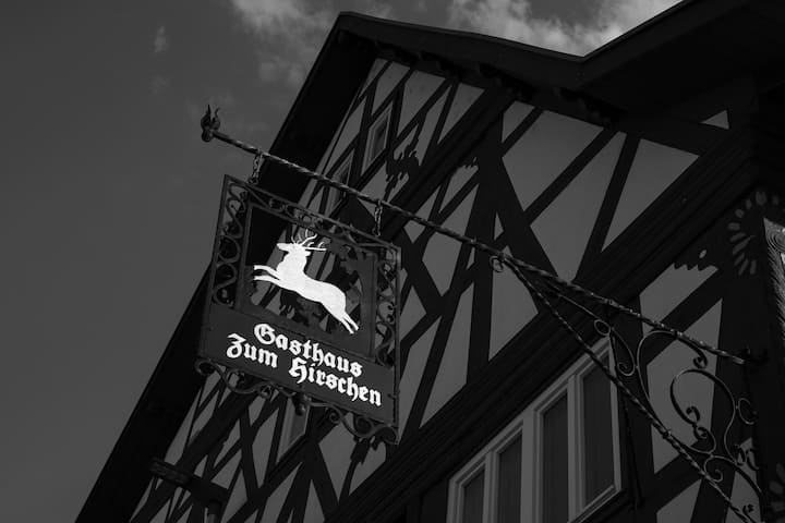 Der Hirsch - Platzhirsch 1 - Großheubach