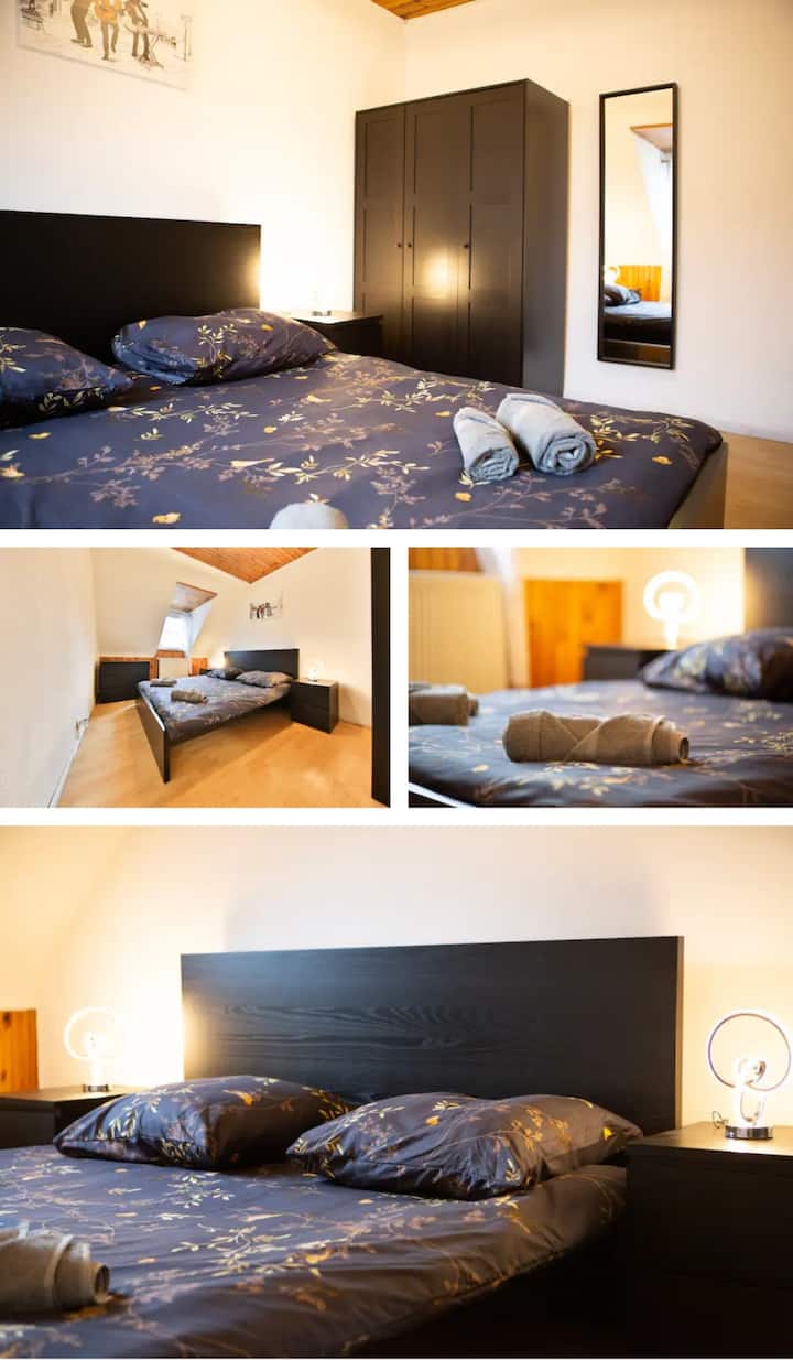 2 Appartements Dans Le Même Immeuble - 18 Pers - 알자스