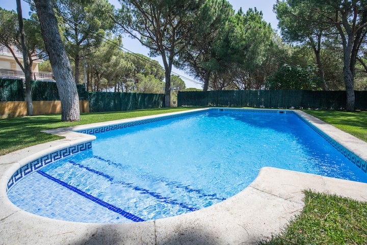 Mar Pins-estudi - Begur