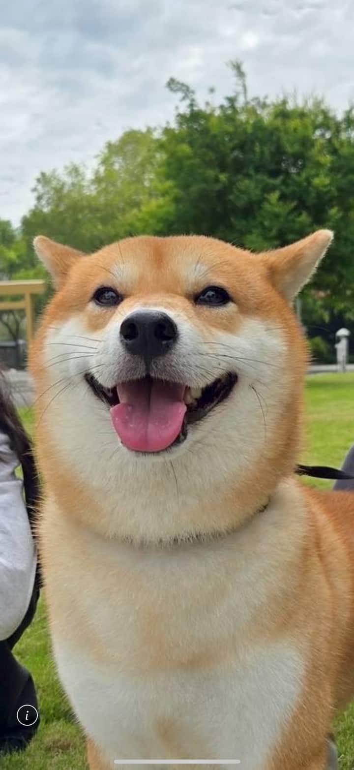 寵物友善
3房6人
愛河畔大空間寧靜大廈 - 첸진 구