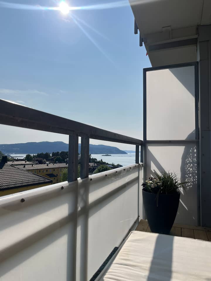 Leilighet Med Flott Utsikt Over Trondheimsfjorden - Trondheim