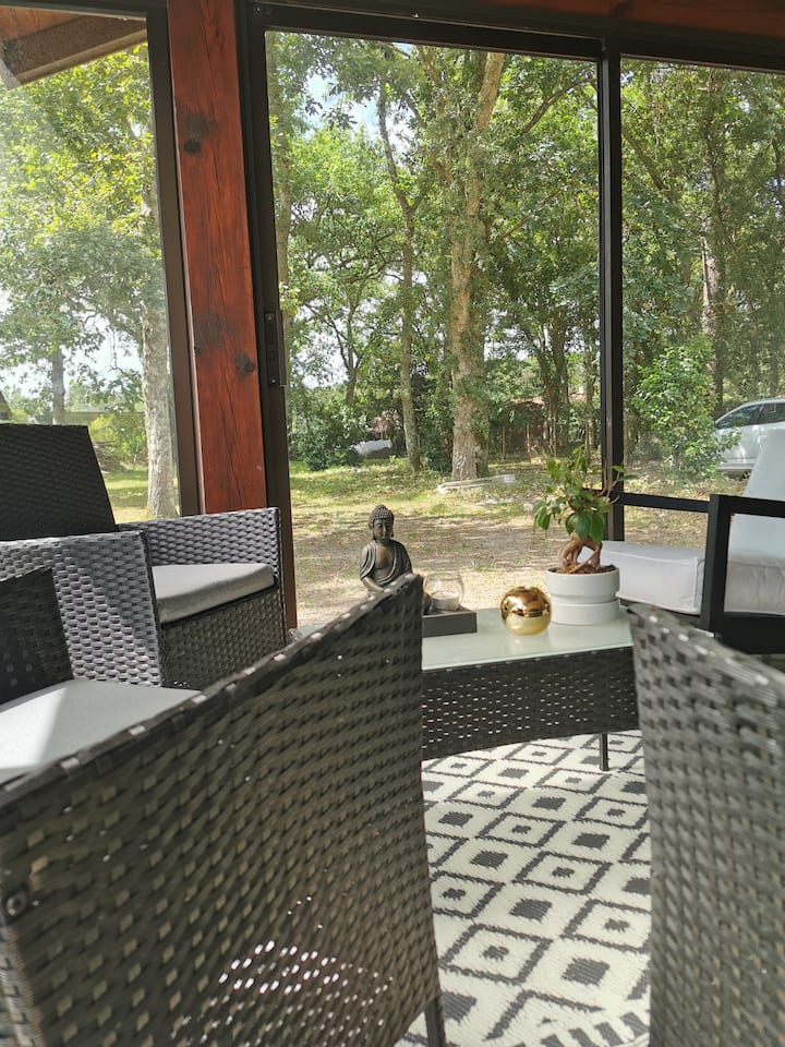 Villa Des Chênes 8 Pers Clim - Soustons