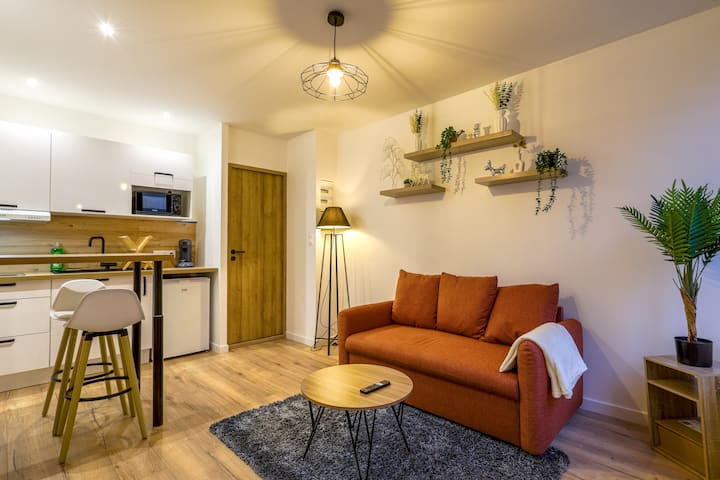 Beau F1 Nancy Centre Place Stanislas - Nancy