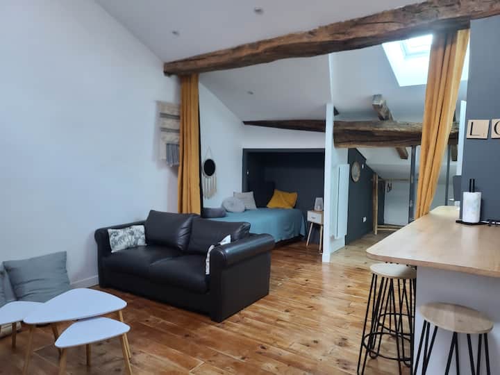 Loft Spacieux Et Lumineux - Saint-Jean-Pied-de-Port
