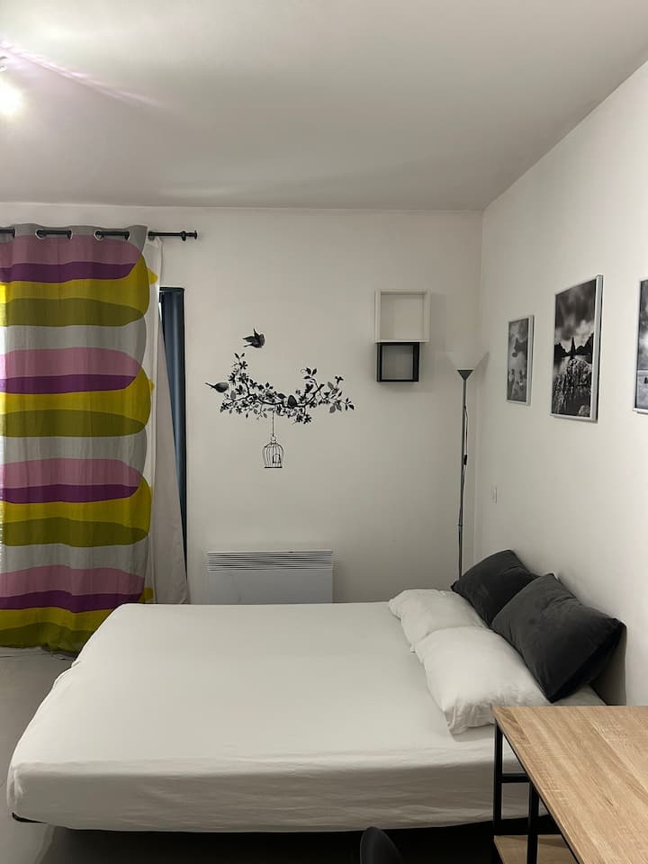 Appartement En Centre-ville - Corte