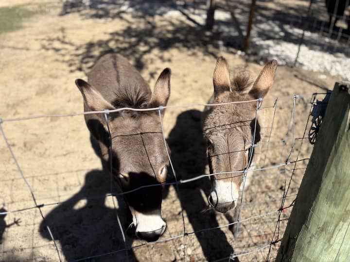 Quaint Cottage In Hernando - Inverness, FL