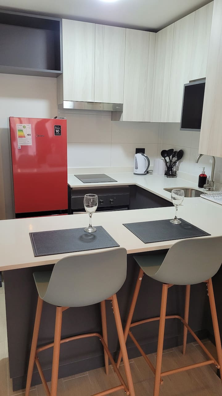 Departamento Acogedor Y Funcional Zona Turística. - Valparaíso