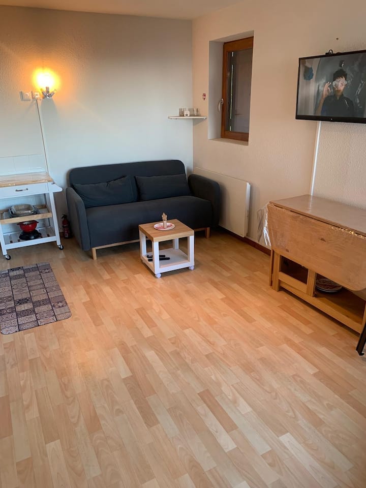 Appartement T2 à 300m De La Télécabine. - Thollon-les-Mémises