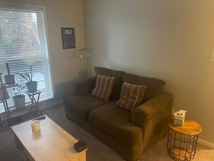 Furnished 1br In Vinings Near The Battery - Smyrna, GA