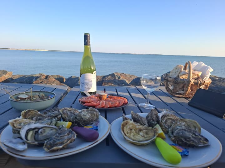 Le Ressac : Face Océan, 80m De La Plage, Balcon - Châtelaillon-Plage
