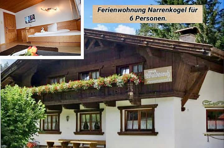 Ferienwohnung Narrenkogel - Niederthai