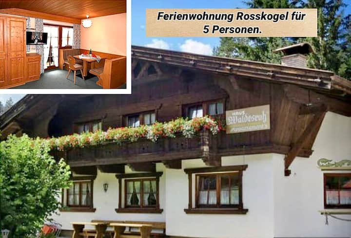 Ferienwohnung Rosskogel - Niederthai