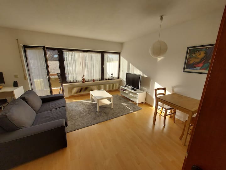 Charmante, Helle Wohnung In Bonn-oberkassel - Bonn