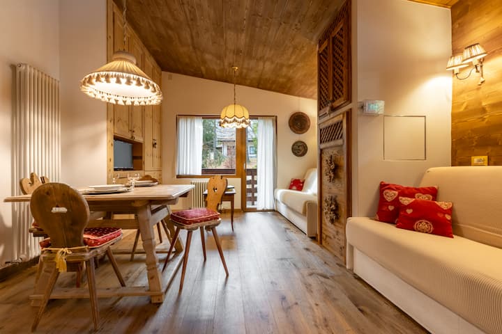 Rifugio Alpino [Posto Auto E Vicino Agli Impianti] - San Martino di Castrozza