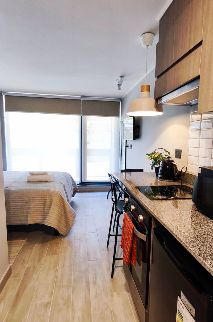 Departamento A Pasos De La Costanera - Valdivia