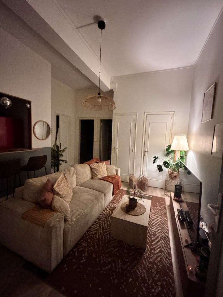 Logement Avec Vue Sur La Place Ducale - Charleville-Mézières