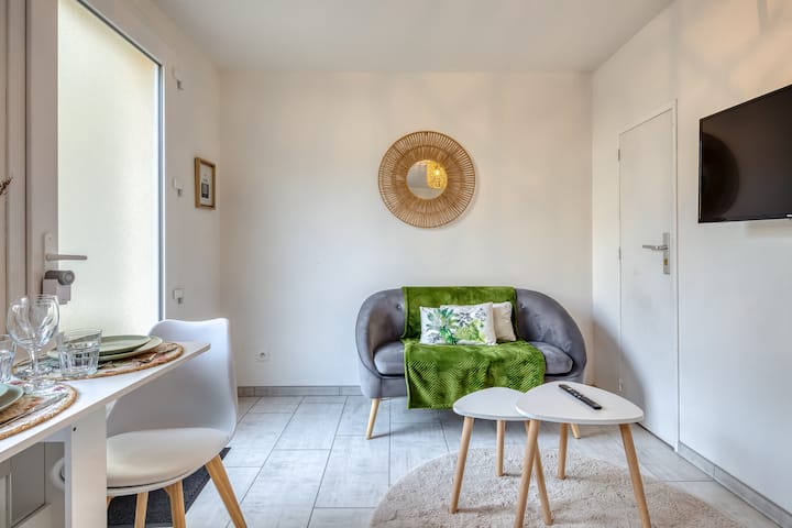 Magnolia - Le Jardin Des Plantes - Rouen