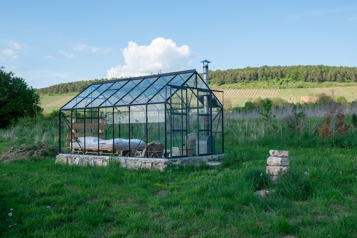 Traumhaftes Gewächshaus Am See (Mit Heizdecke) - Karlstadt