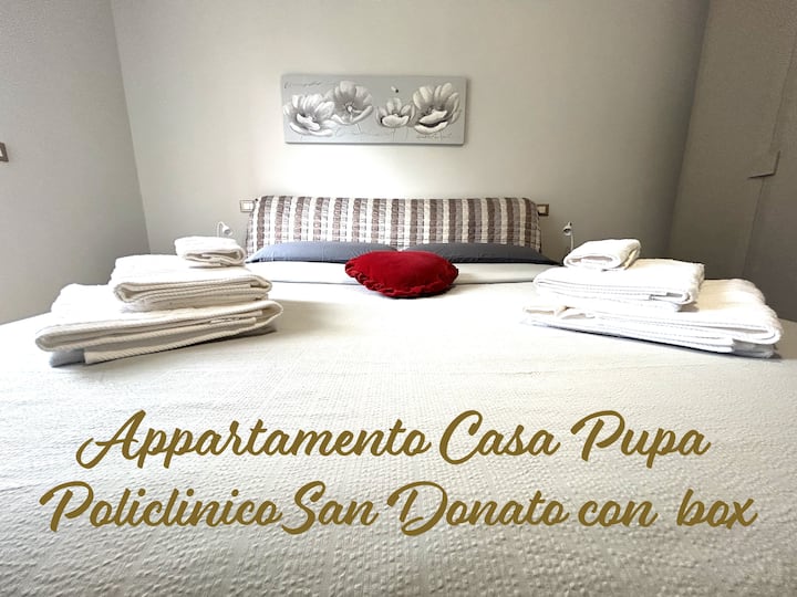 Casa Pupa Trilocale Policlinico S. Donato Con Box - San Donato Milanese