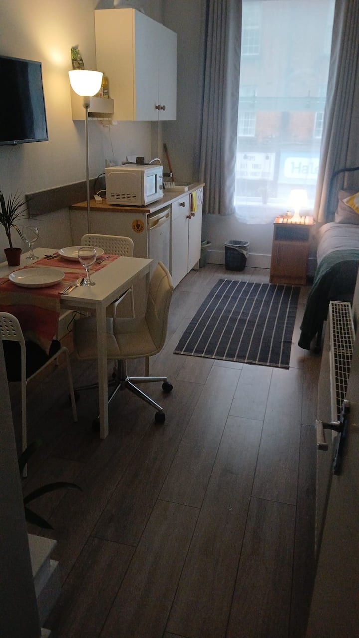 Compact Studio In Walking Distance To Attractions - Dublin