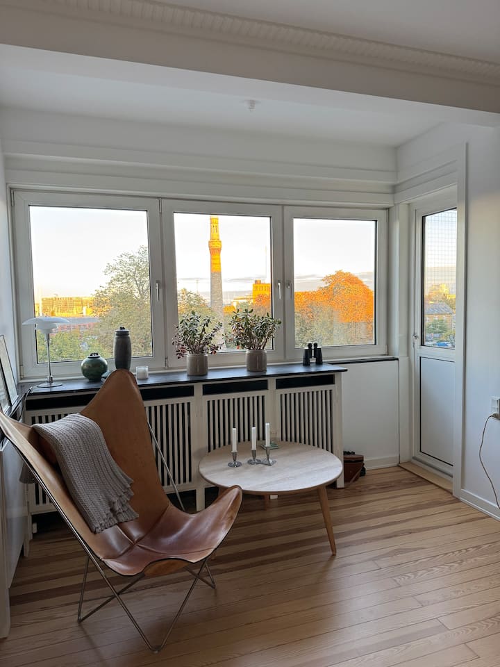 Smuk Og Rummelig Lejlighed, Fantastisk Beliggenhed - Copenhague
