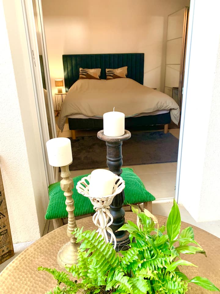 Chaleureux Appartement T2 Avec Terrasse - Castelnau-le-Lez