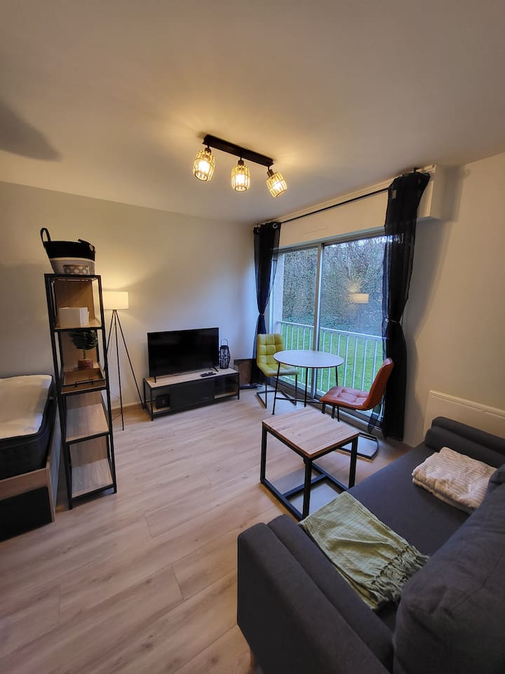 Agréable T1, Parking, Proximité Immédiate Tramway - Angers