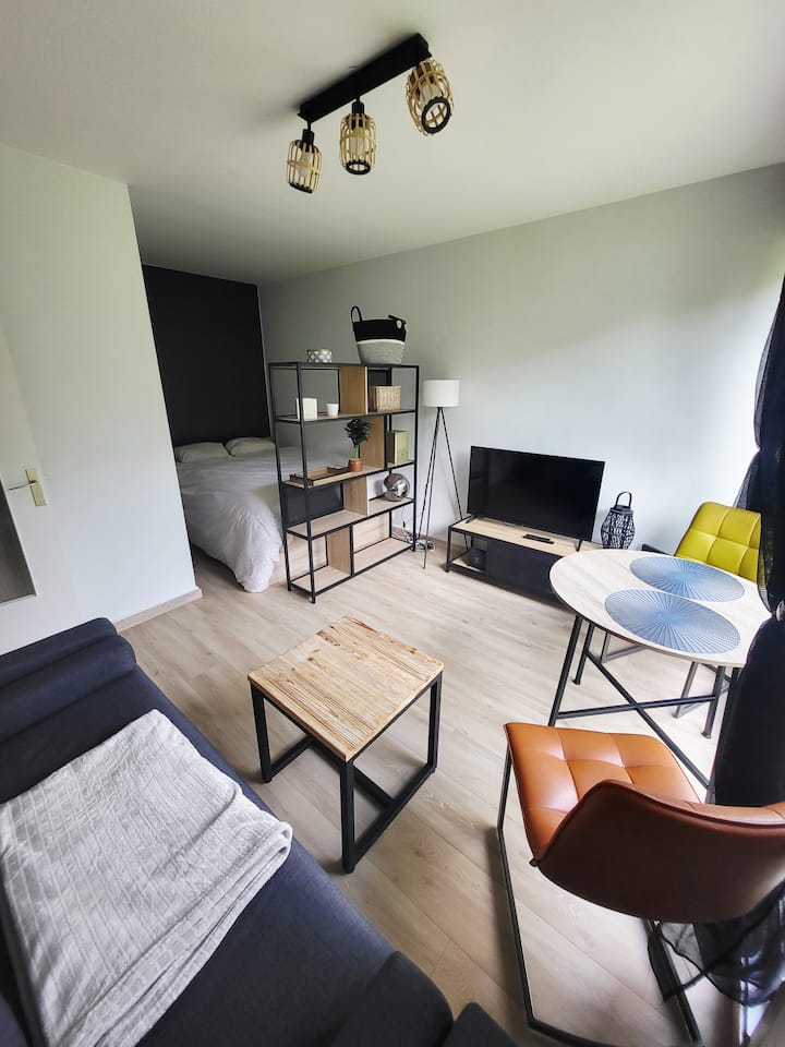 Agréable T1, Parking, Proximité Immédiate Tramway - Angers