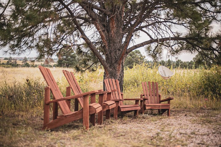 Hidden Acres— 4 Bd/2 Bath Lower Unit With Views! - Black Forest, CO