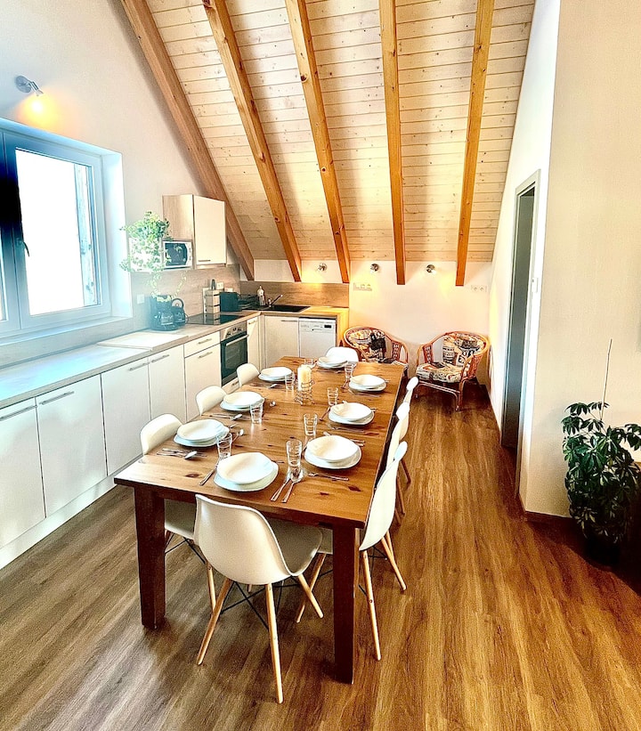 Soul Sanctuary Nepomuk - Apartment C - Příbram