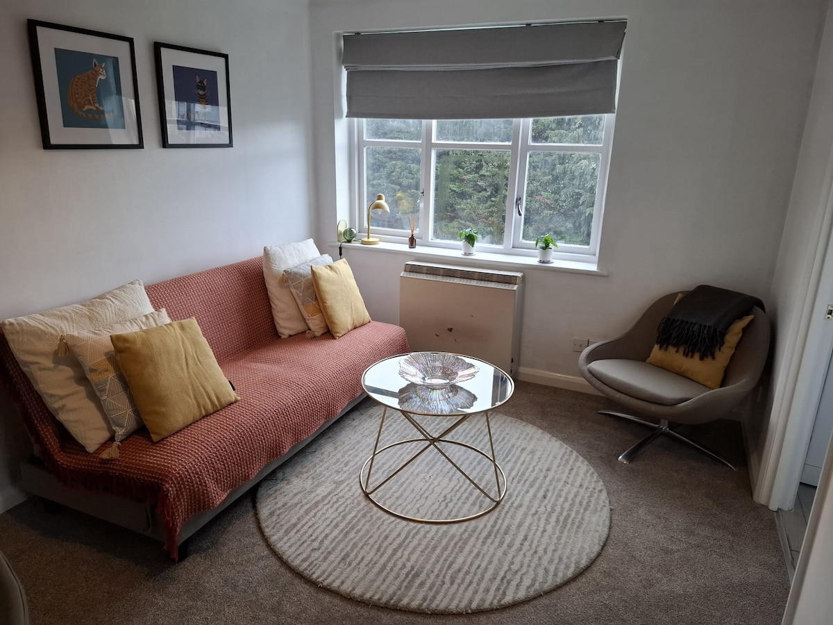 Bijoux Pied de Terre in Slough Sole Use Studio - Appartements à louer à ...