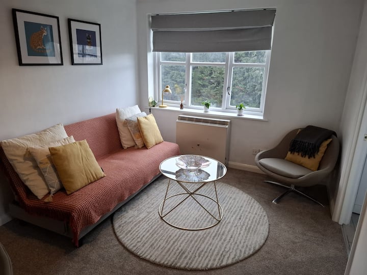 Bijoux Pied De Terre In Slough 
Sole Use Studio - Slough