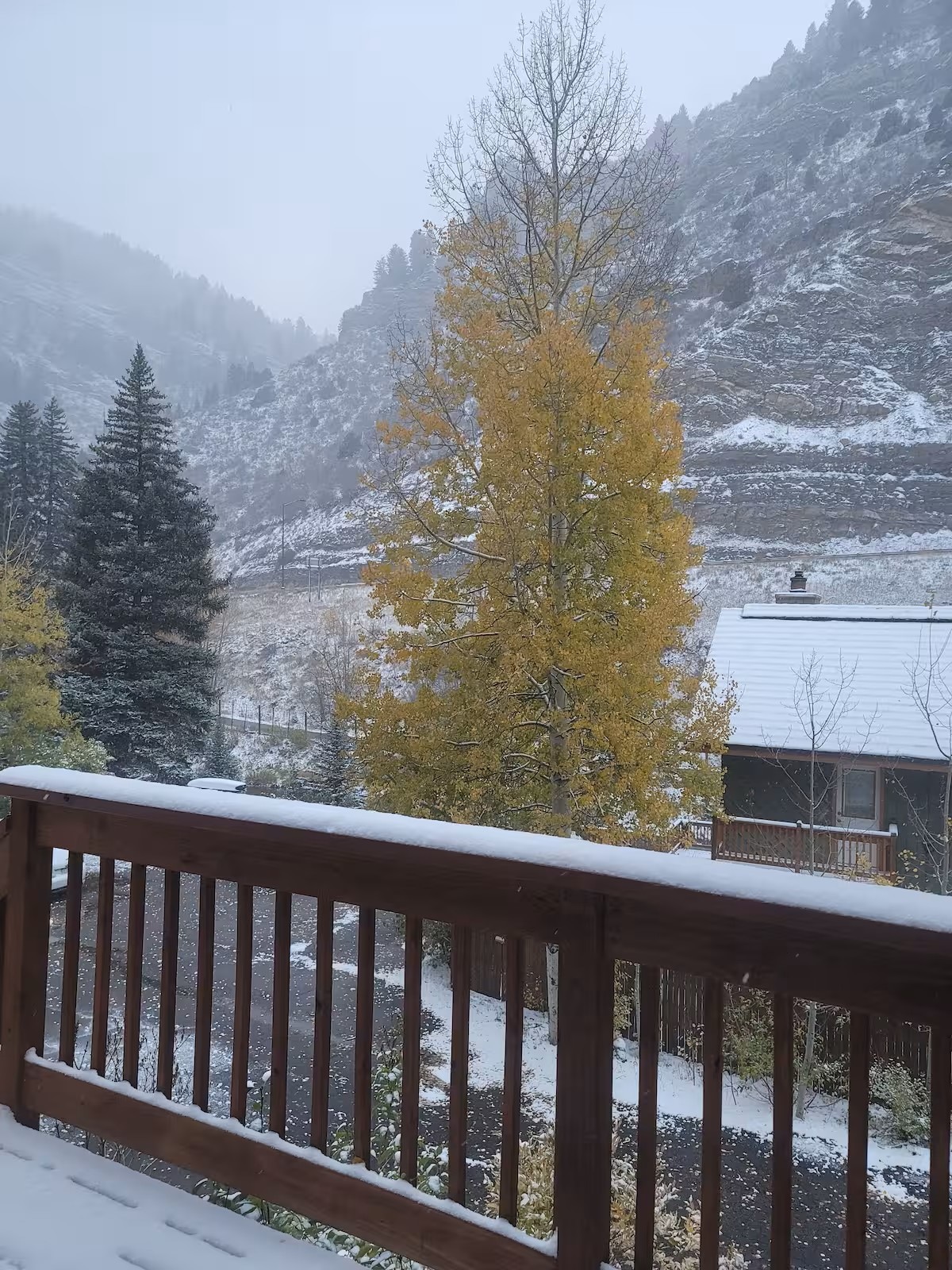 Escapade à Vail pour 2 • Lit King size • Chiens acceptés ! - Maisons à ...