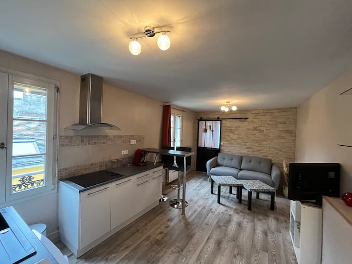 T2 Charmant, Hyper Centre Fontainebleau - Fontainebleau