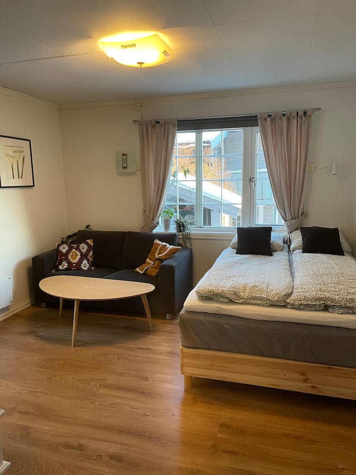 Small But Cozy Studio Appartment - Trondheim
