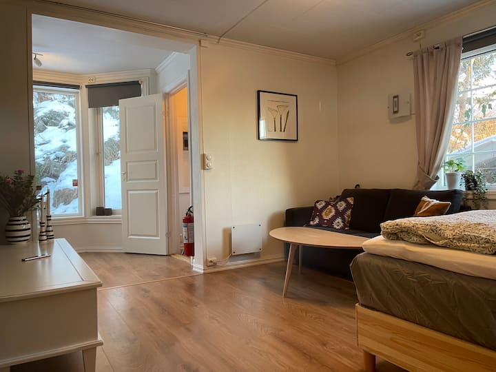 Small But Cozy Studio Appartment - Trondheim