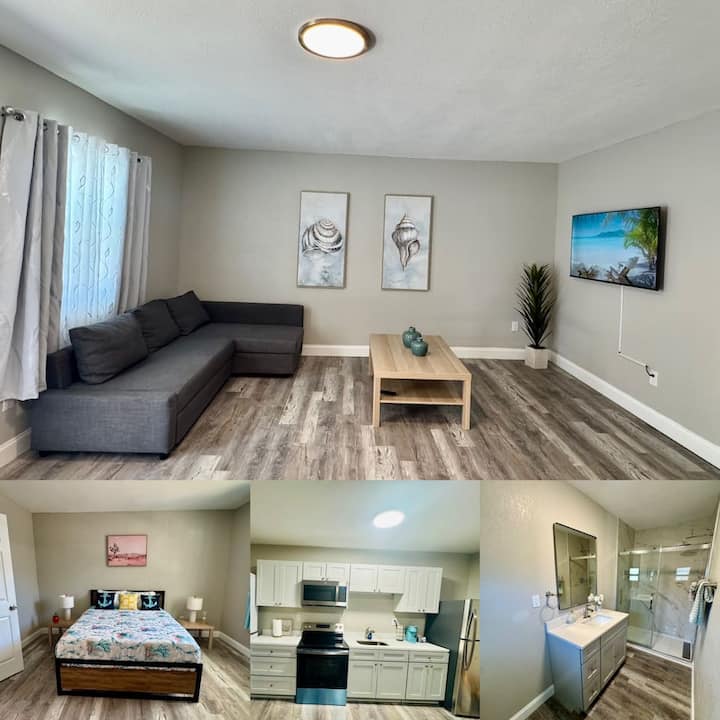 *New Listing * Renovated 1 Bd Apt • Washer/dryer - Pinellas County, FL