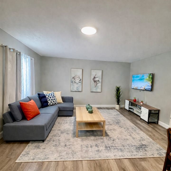 *New Listing * Renovated 1 Bd Apt • Washer/dryer - Clearwater, FL