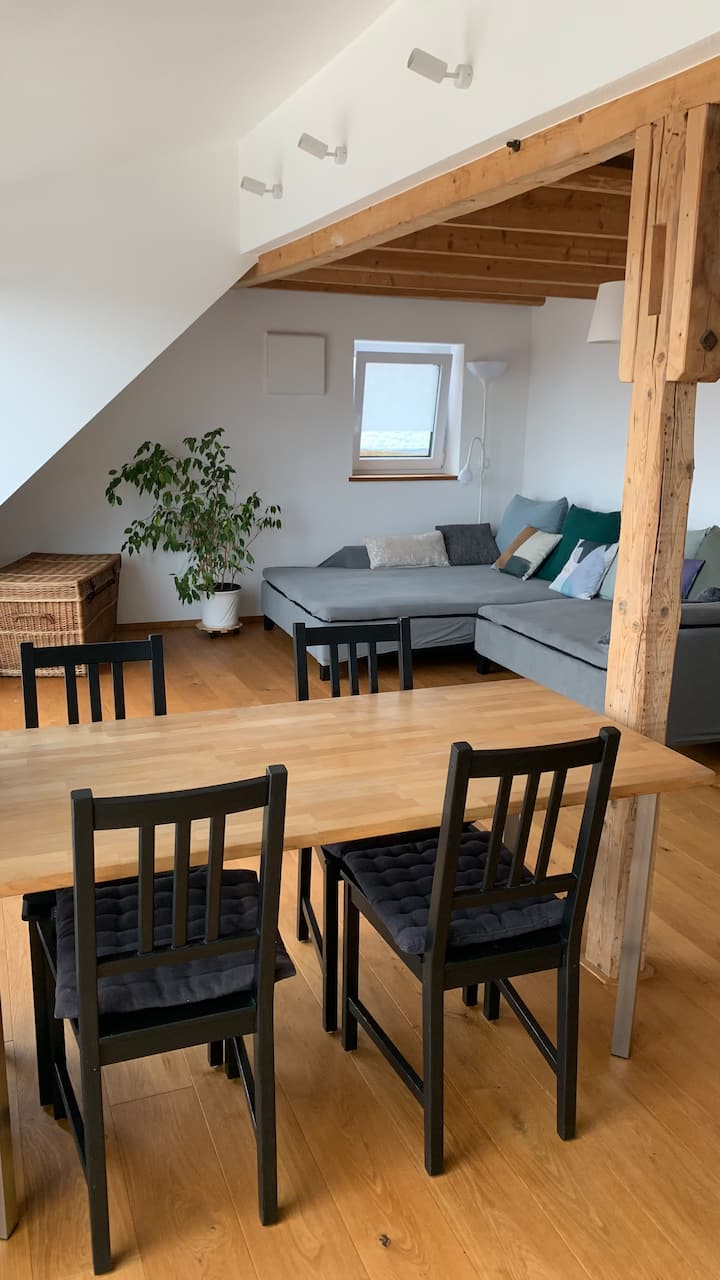 Dachgeschosswohnung Mit Terrasse & Klosterblick - Ochsenhausen