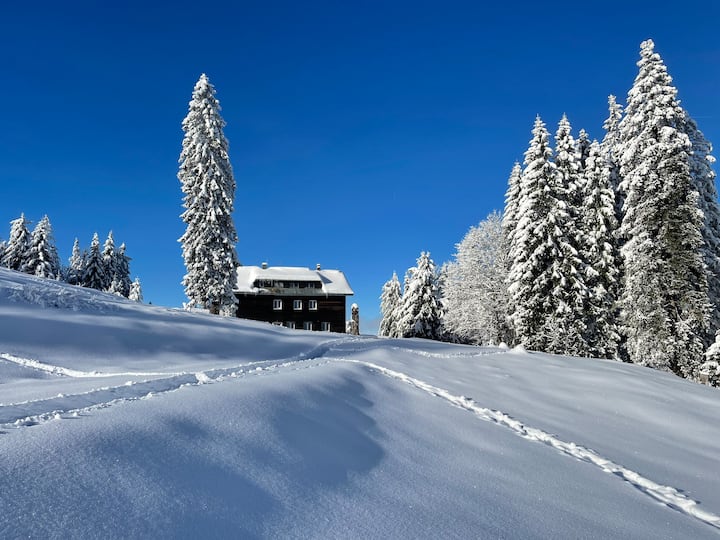 Lörracher Hütte - Urlaub Am Feldberg - Todtnau