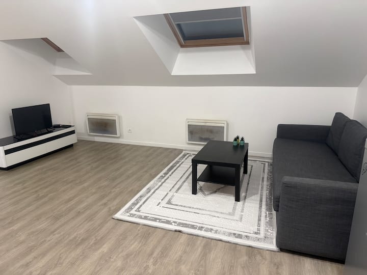 Un Bel Appartement Pas Loin De Paris - Marne-la-Vallée